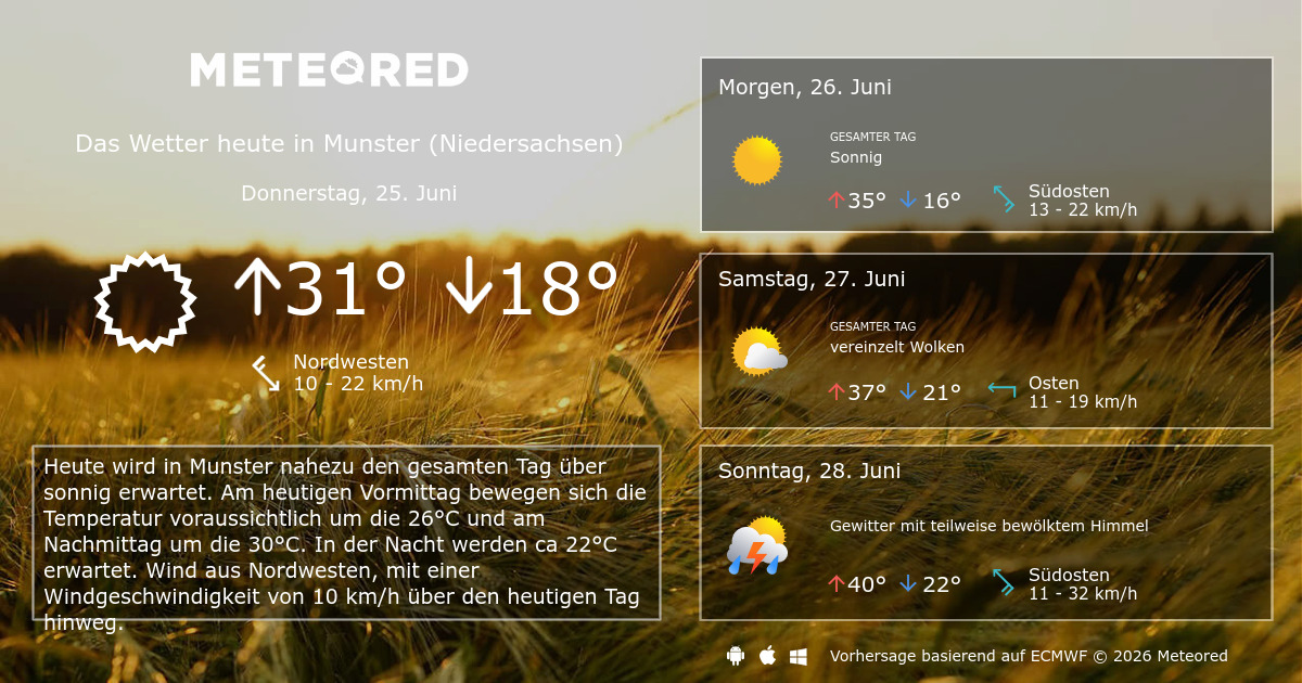 Spannende Wetter Munster Morgen Stundlich Bilder